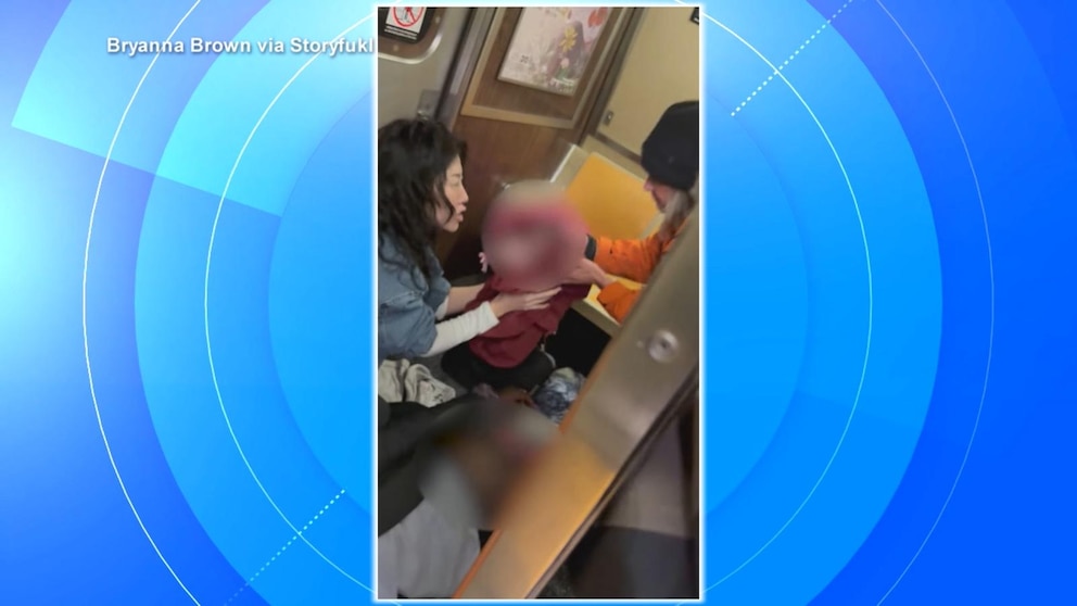 A Miracle on the Subway: The Extraordinary Birth of a New York Baby ...